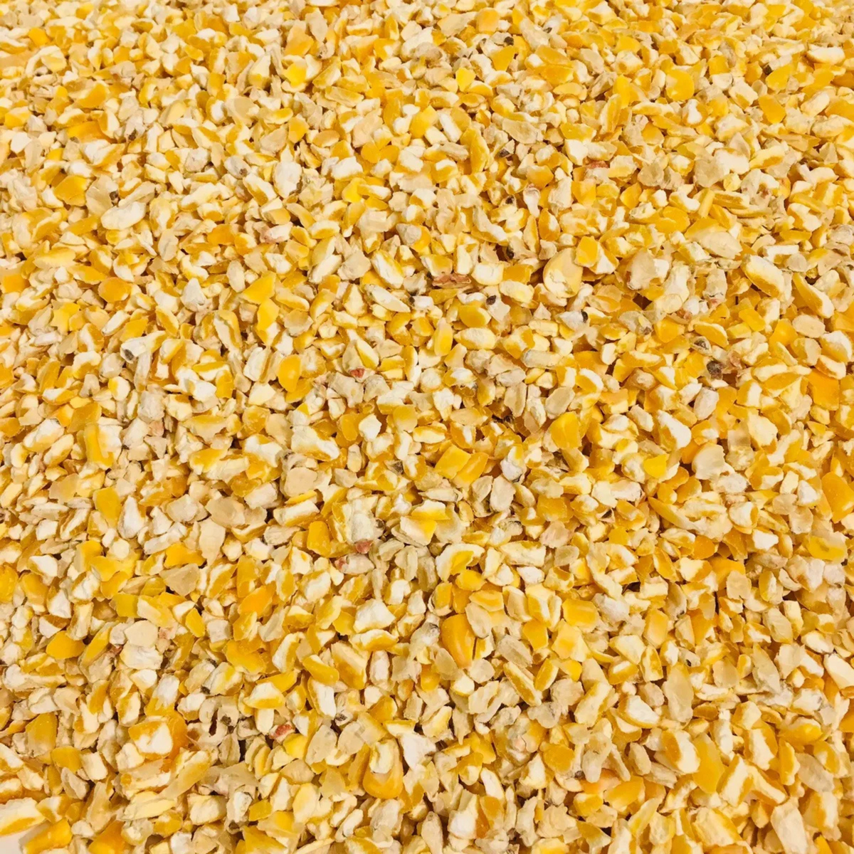 Cracked Corn/Maize 4kg – Mel's Pet Shed