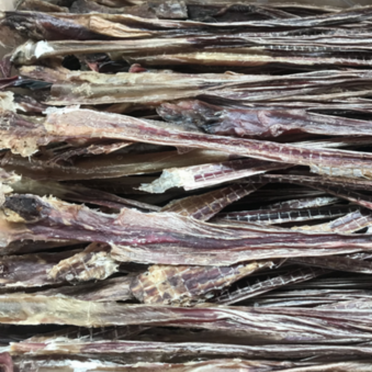 Goat Pizzle – Mel's Pet Shed